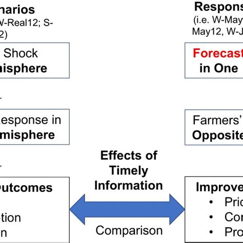 Flowchart Of The Estimation Strategy Summary Information Of All