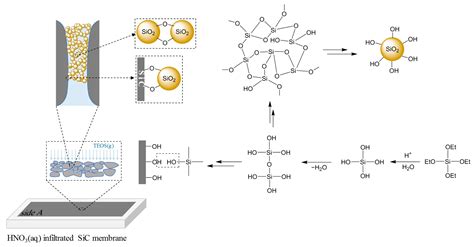 Membranes Free Full Text Sio2 Modification Of Silicon Carbide Membrane Via An Interfacial In