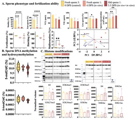 Effect Of Similar Storage Period A Single In Vitro Or Combination Of