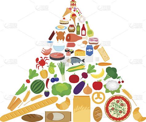 健康饮食信息图表