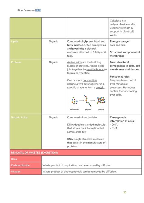 Biology Notes Module 1 Biology Year 11 Hsc Thinkswap