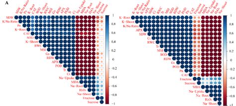 Correlation Analysis P