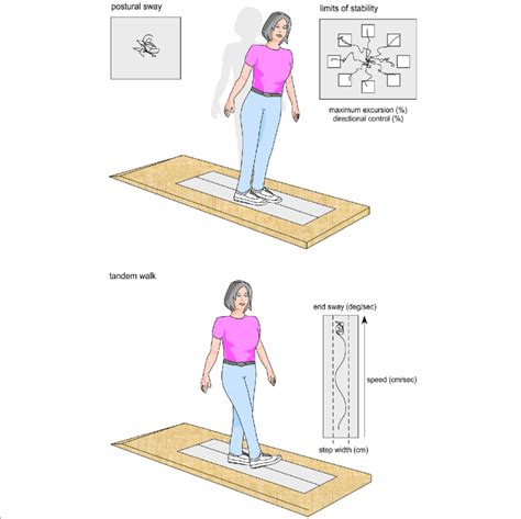 Balance Testing Protocol Using The Neurocom Balance Master™ Download Scientific Diagram