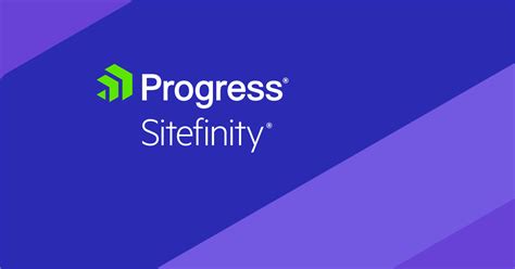 Top Sitefinity Implementation Agencies In The Usa Crafting Exceptional