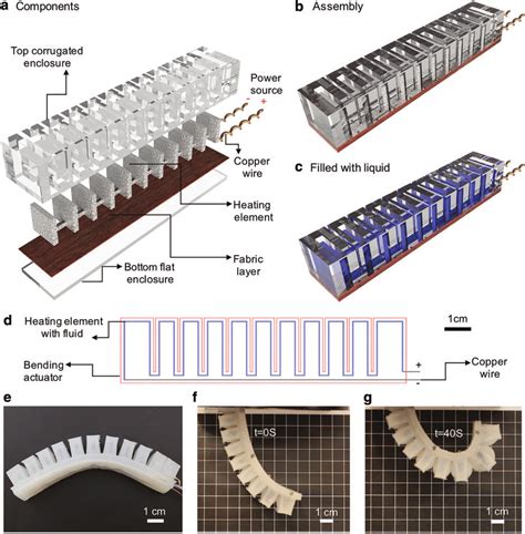 A Components Of The Soft Actuator B Assembly Of The Soft Actuator Download Scientific