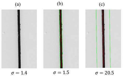 automated measurement of geometric features in curvilinear structures