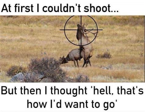 Elk Funny Posts Pictures And S On Joyreactor