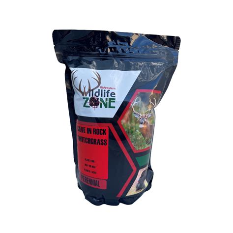 Cave In Rock Switchgrass Gardencenter Express