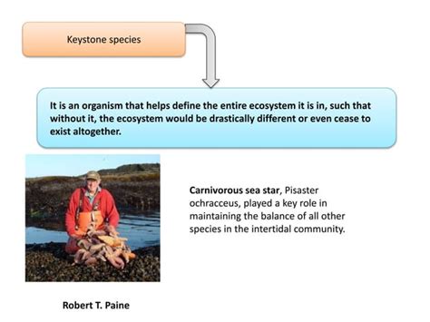 Interactions And Interdependencepptx