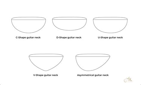 Riff Mag Com Different Types Of Guitar Necks