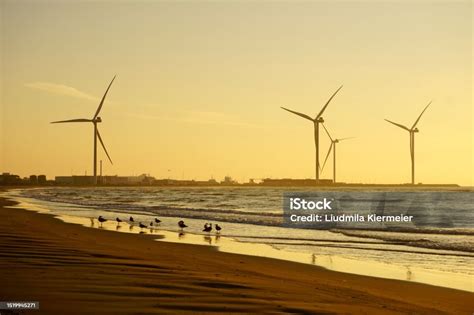 풍차가 있는 해변의 일몰 풍차가 있는 해변의 밝은 주황색 일몰 덴마크 히르트스할스 해변의 일몰 북해 해변의 일몰 0명에 대한 스톡 사진 및 기타 이미지 Istock