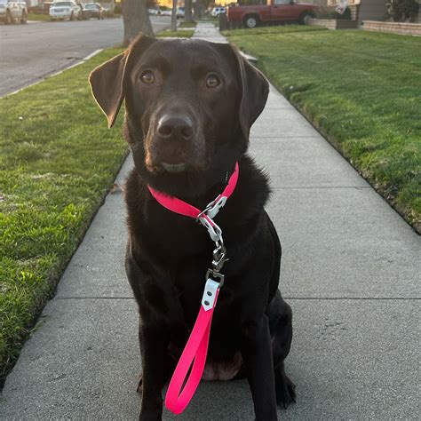 🎀ellie The Service Lab🎀 Youtube