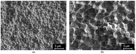 Processing And Properties Of Tungsten Steel Composites And Fgms
