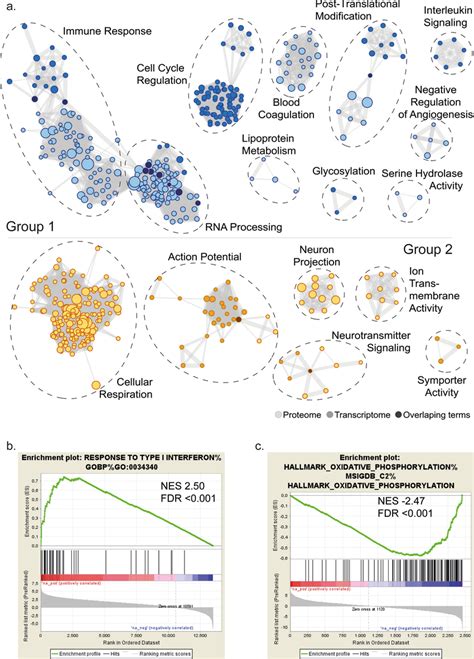 Integrative Multi Omics Identifies Highly Divergent Pathways A Download Scientific Diagram
