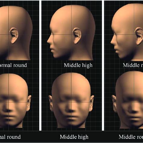 Five Chinese Male 3d Head Models Generated By The Proposed System