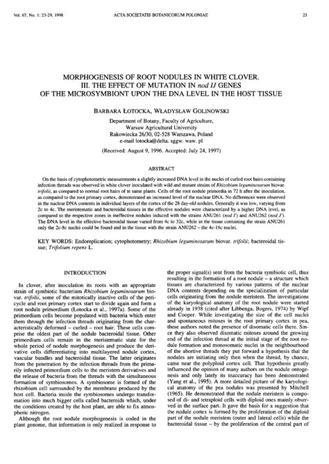 Pdf Morphogenesis Of Root Nodules In White Clover Iii The Effect Of Mutation In Genes Nod Ij