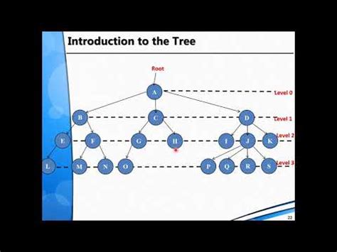Lecture 10 Data Structures Tree I YouTube Lecture 10 Data Structures Tree I YouTube
