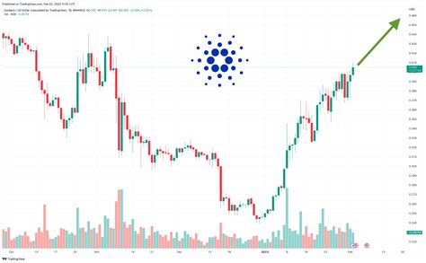 Cardano Price Forecast As 500 Million Trading Volume Floods In Can