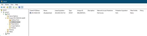 Lease Time One Hour With Windows Dhcp Servers Majornetwork