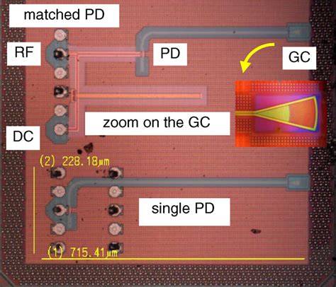 Picture Of The Silicon Photonics Chip With The Single Pd Bottom And Download Scientific