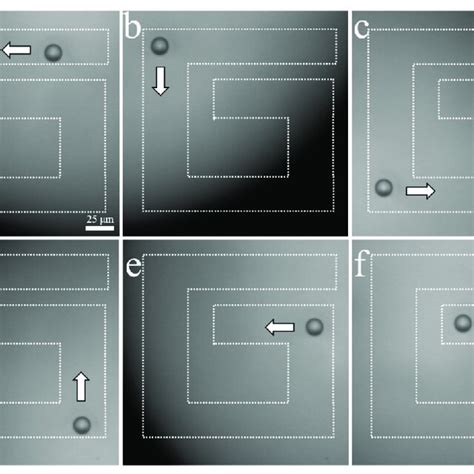 Microscopic Photographs Of A 15 μm Polystyrene Bead Manipulation Using