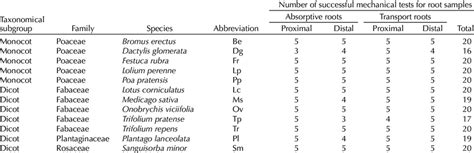 Species Family And Number Of Root Samples Used In Mechanical Tests Download Scientific Diagram