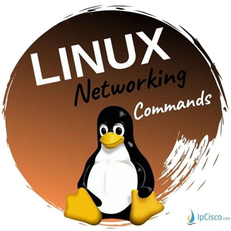 Top 35 Network Commands In Linux Arp Route Ip Netstat Dig⋆