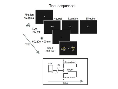 Feature Based Attention Ppt Download