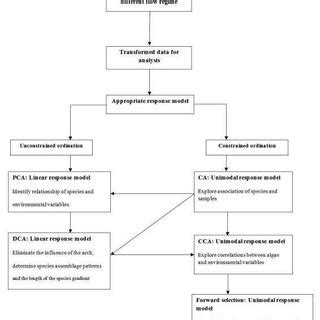 Schematic Diagram Displaying The Process Used For The Analyses And Download Scientific Diagram