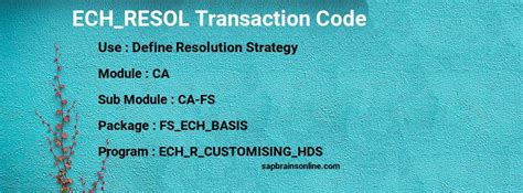 ECH RESOL SAP Tcode For Define Resolution Strategy