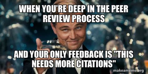 When Youre Deep In The Peer Review Process And Your Only Feedback Is