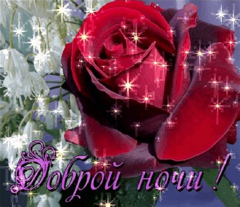 Imagenes Animadas De Rosas Rojas Con Brillos Y Destellos Rosas Rojas