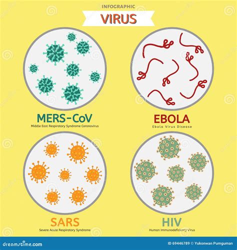 Ebola Vector Illustration Labeled Virus Bacteria Infection Symptoms