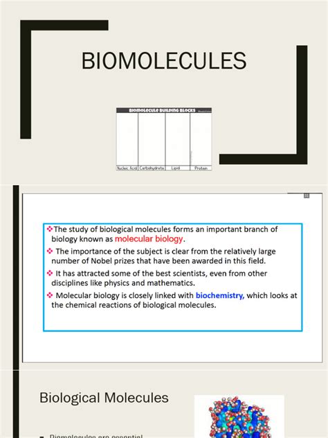 physical science lesson 4 structure and function of biomolecules