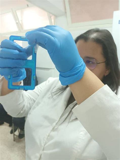 Bioinformatics Ngs Nabil Amor