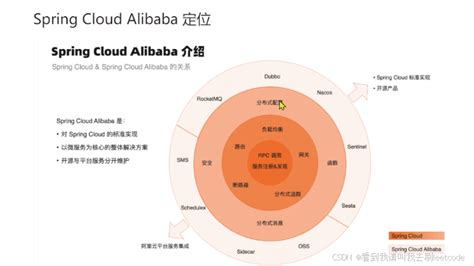 Springcloudspring Cloud Starter Vipclient Csdn博客