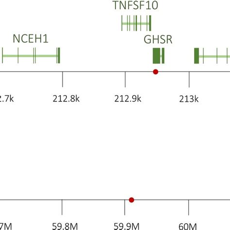 Genome View Of Phenotype Associated Single Nucleotide Polymorphism
