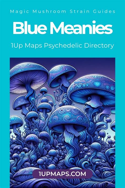 Blue Meanies Mushroom Strain Guide 1upmaps Psychedelic Geodirectory