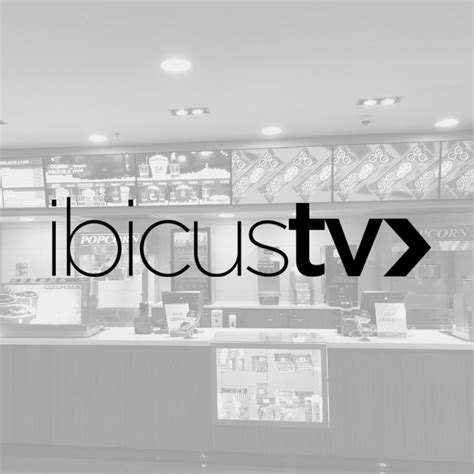 Ibicus Desarrollo De Software