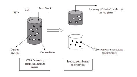 Aqueous Two Phase Extraction Ppt