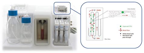 Immediate Sample Fixation Increases Circulating Tumour Cell Ctc Capture And Preserves