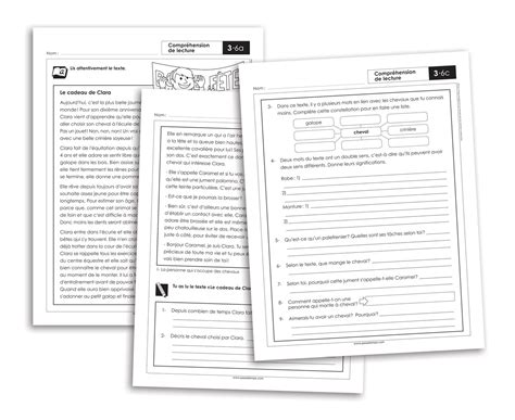 Français 3 Compréhension de lecture Version numérique