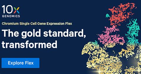 Illumina 10x Genomics Chromium Single Cell Gene Expression Flex…