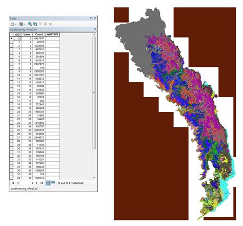 error with feature to raster conversion in arcgis for desktop