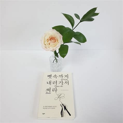 글쓰기 책 추천 뼛속까지 내려가서 써라 네이버 블로그