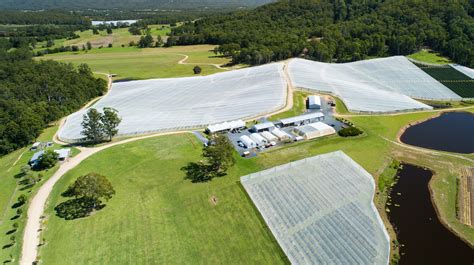 Payce Consolidated Pty Ltd Multi Million Dollar Adele House Project Taking Shape