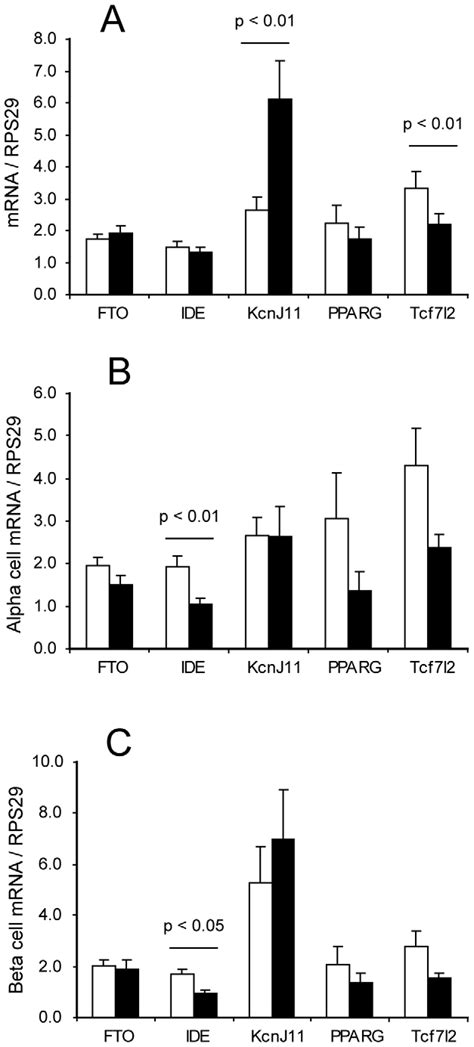 type 2 diabetes susceptibility gene expression in sorted islet cells