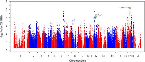 Colour Online The Genome Wide Distribution Of Selection Signatures