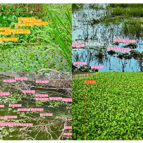 Detection Effect Of Efficient Yolov5 In Different Environments