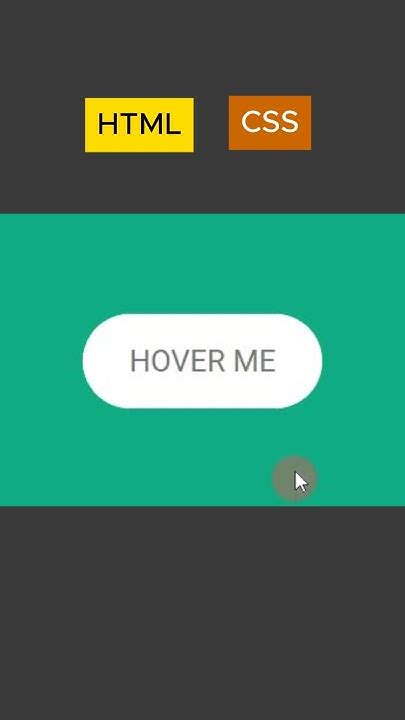 Html Css Button Hover Animation Effect Shorts Viralshorts Youtube